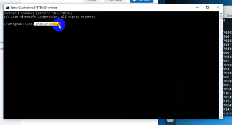 Windows_cmd_shell_launched | Alexander V. Leonov